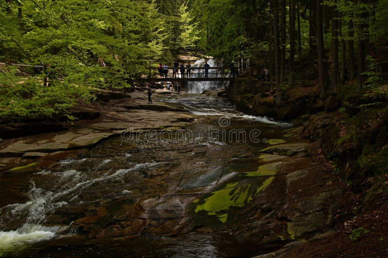Waterfalls on a Stream in the Forest Stock Photo - Image of mountain ...