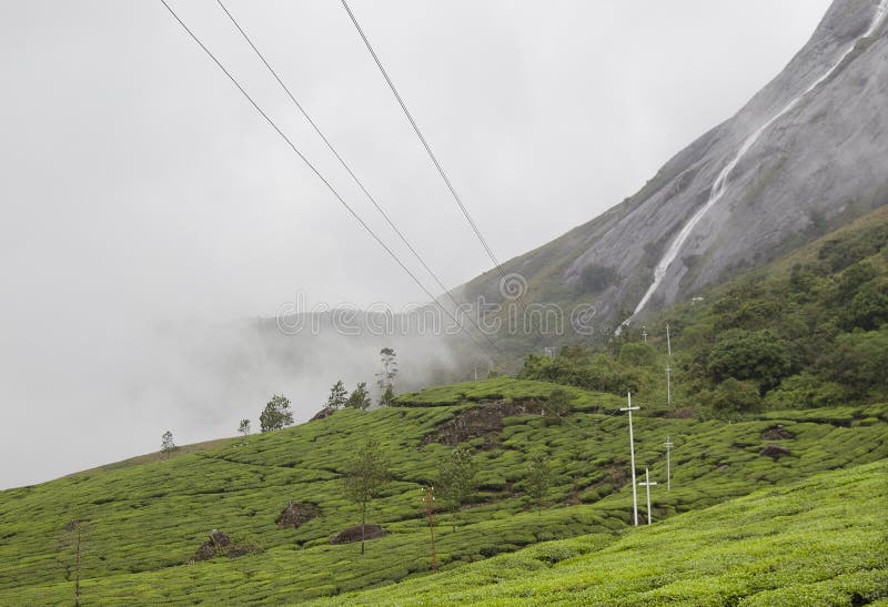 Waterfalls in a tea estate stock photo. Image of monsoon - 20693682