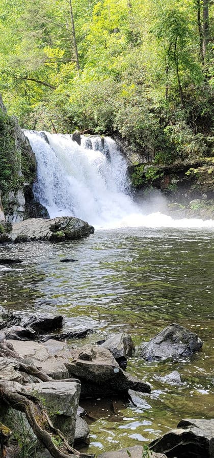 Waterfalls in tennessee stock photo. Image of ravine - 250754324