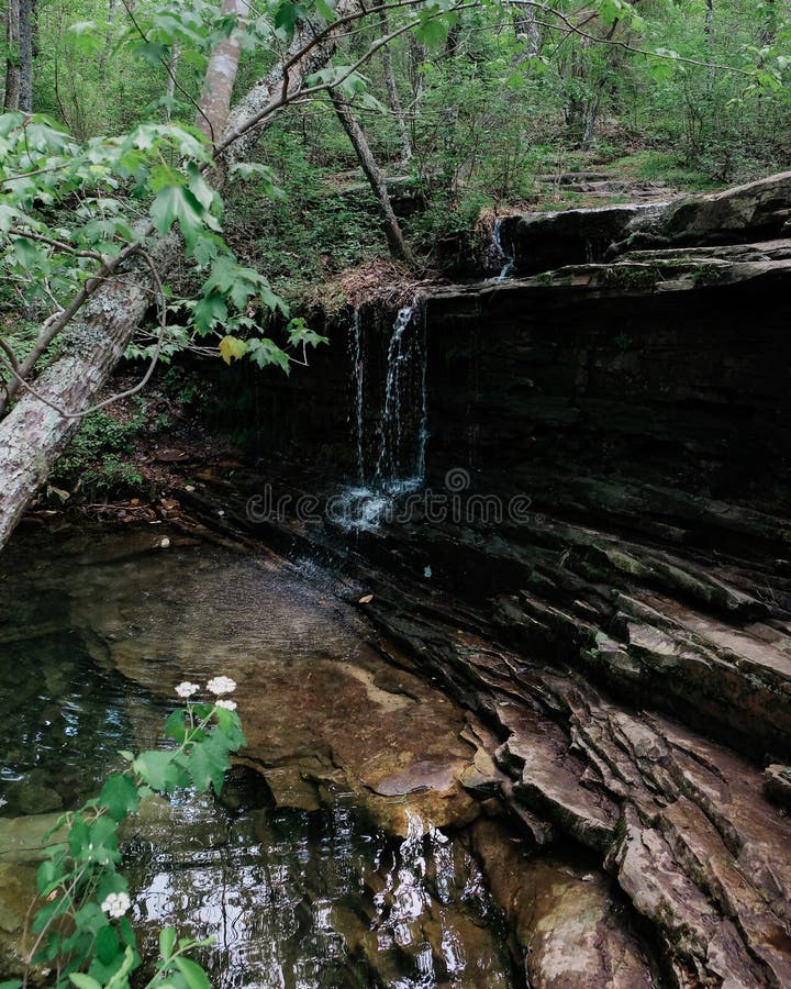 Waterfalls and trees stock photo. Image of hiking, waterfalls - 187135218