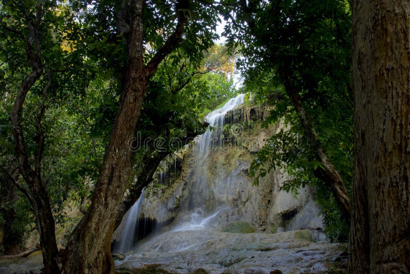 Waterfalls among the trees stock image. Image of forest - 237199413