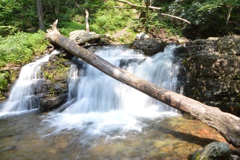 Waterfalls stock photo. Image of tree, water, delaware - 56287408