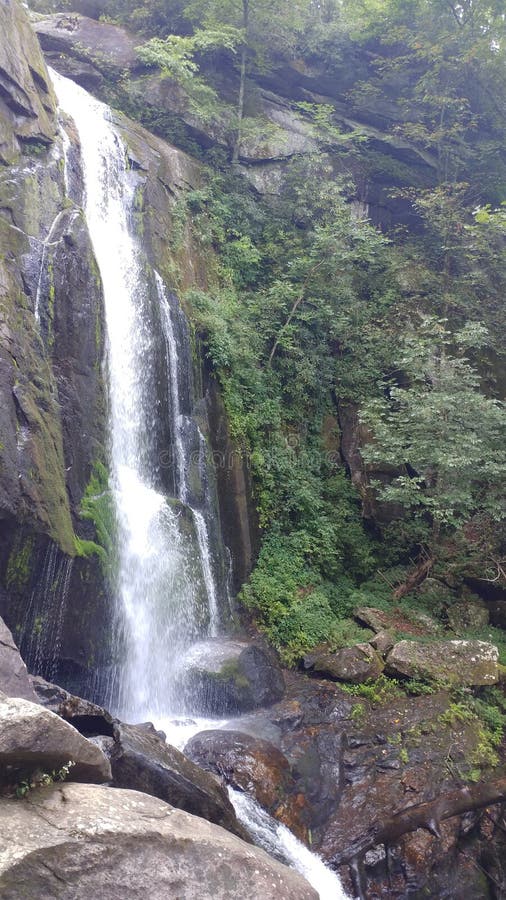 Waterfalls Waterfall Forest Rocks Stock Photo - Image of rocks, forest ...