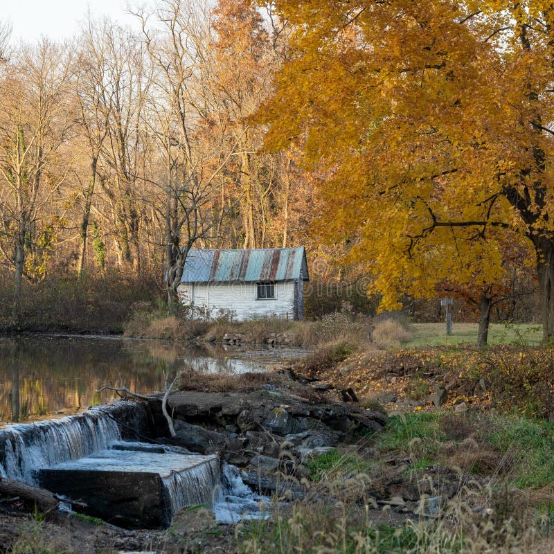 Waterfalls and Yellow Tree in Autumn Stock Image - Image of beautiful ...