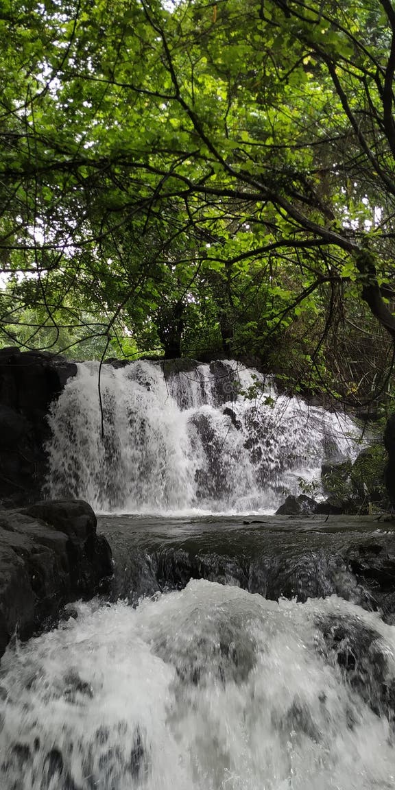 Waterfals stock photo. Image of forest, waterfalls, water - 189008398