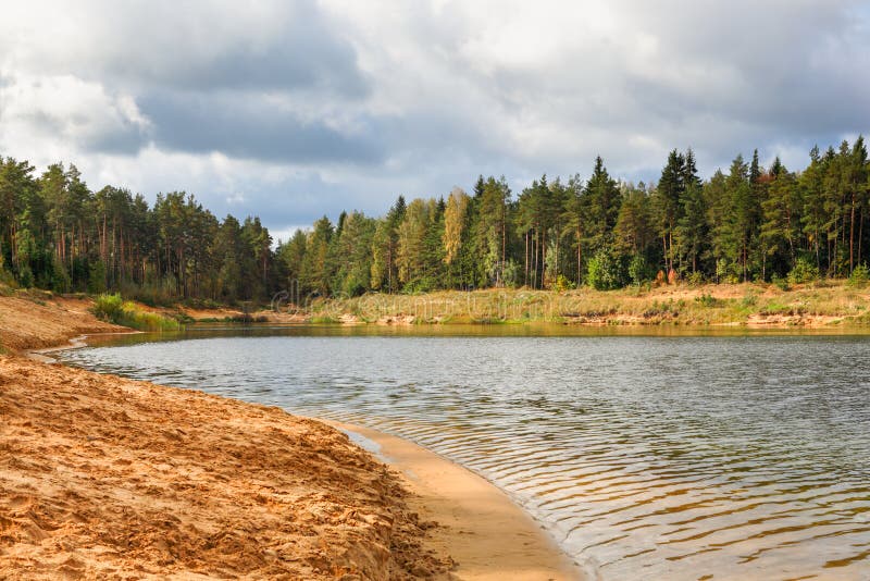 Waterfront Beach Forest Lake Stock Image - Image of flood, woody: 40348195