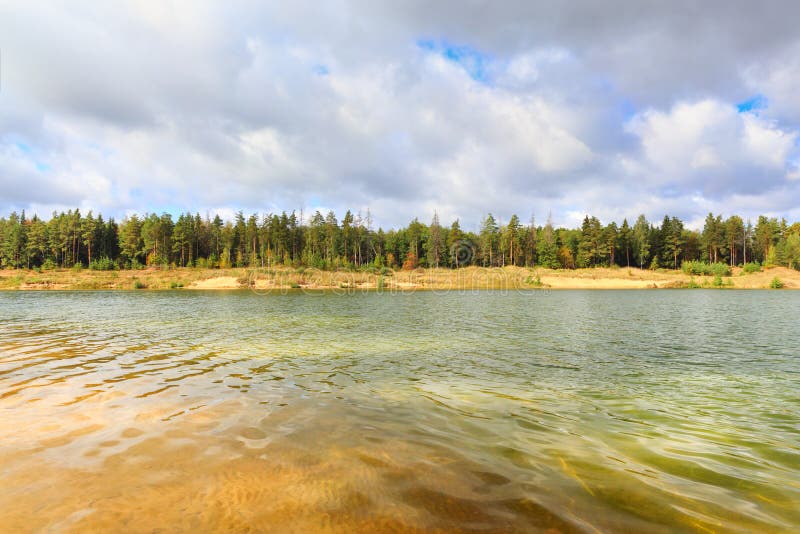 Waterfront Beach Forest Lake Stock Photo - Image of park, overcast ...