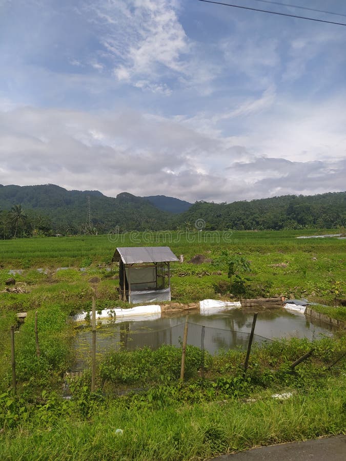 A Waterfront on Central Java in Indonesia Stock Photo - Image of java ...