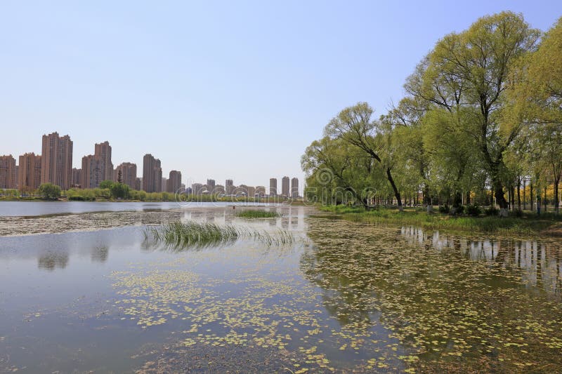 Waterfront City Scenery, China Stock Photo - Image of architectural ...