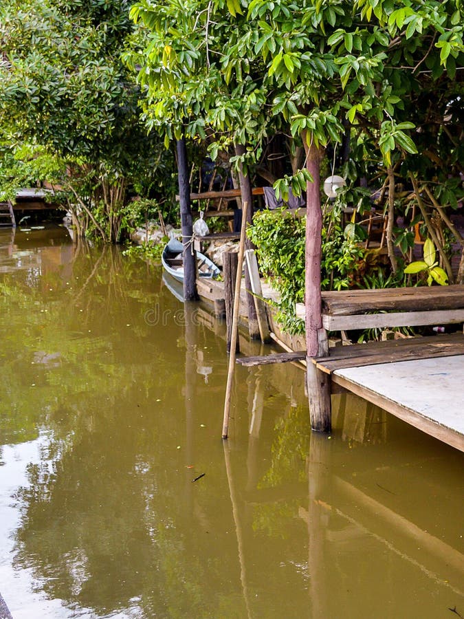 Waterfront stock image. Image of country, leaves, water - 55015043