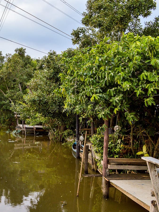 Waterfront stock image. Image of outdoor, nature, tree - 55025765