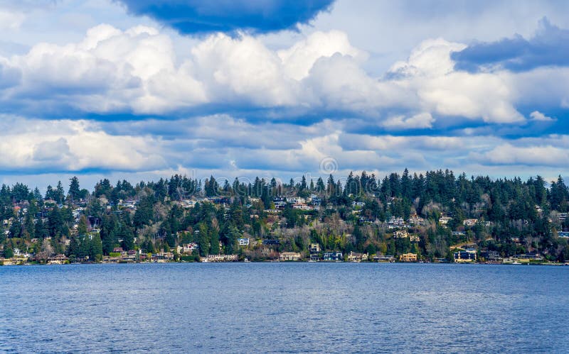 Waterfront Homes in Bellevue Stock Photo - Image of homes, real: 271864884
