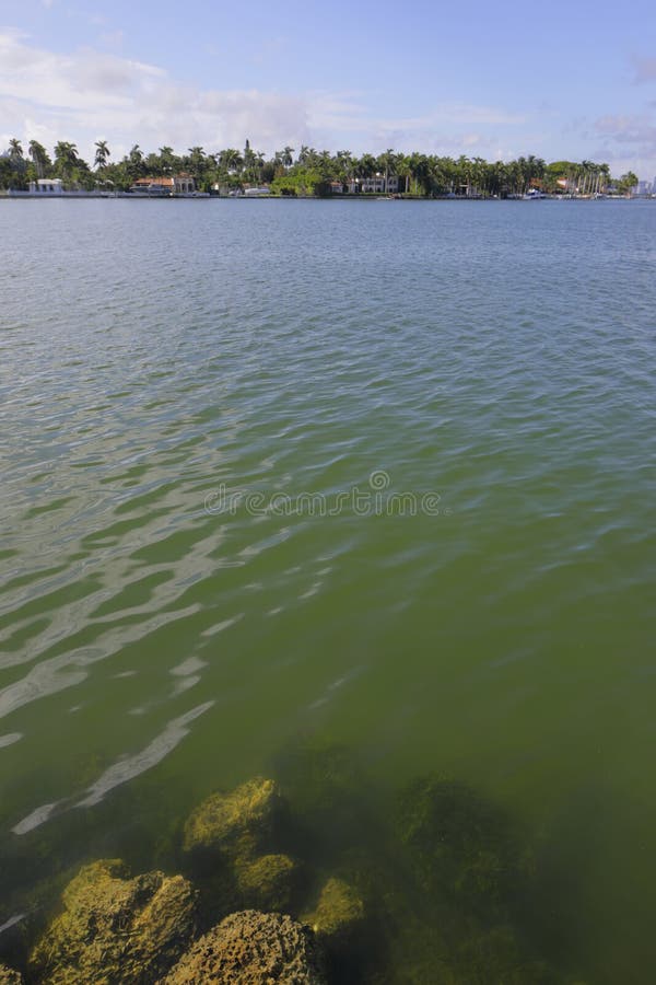 Waterfront Homes on the Horizon Stock Image - Image of house, home ...
