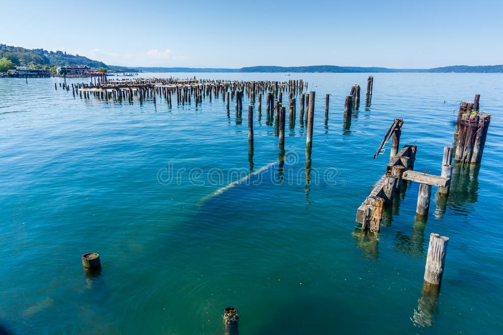 Waterfront Park Pilings 4 stock photo. Image of ruston - 256458394