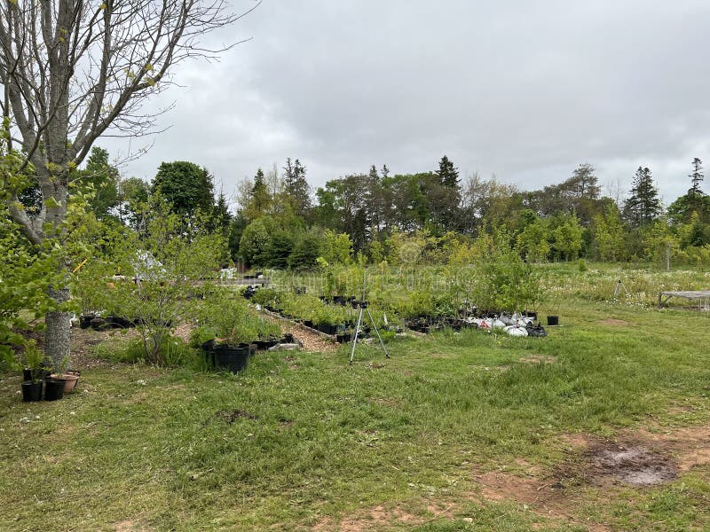 Waterfront in Summerside Prince Edward Island Canada Stock Image ...