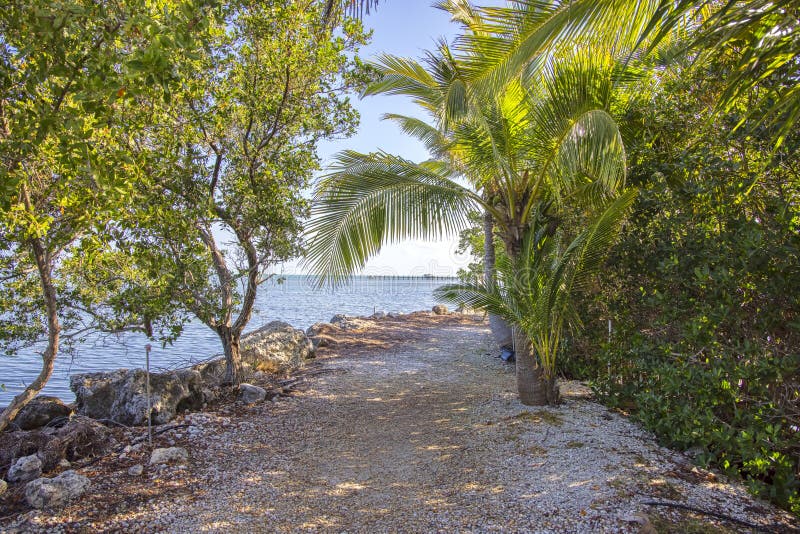 Waterfront Tropical Nature Trail Stock Photo - Image of coastal, palm ...