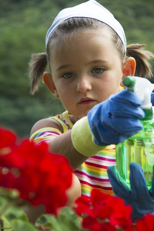 Watering stock image. Image of grass, sunny, playing - 25863705