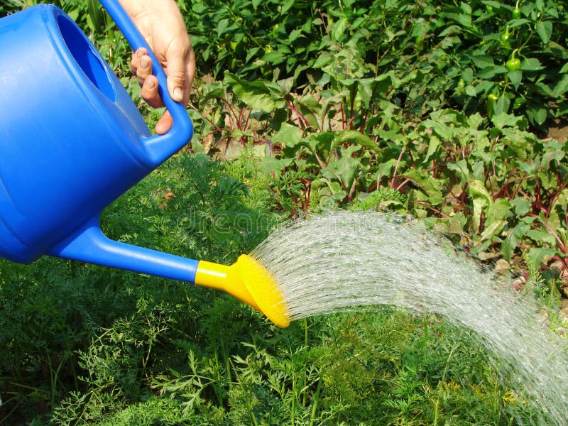 Watering stock image. Image of country, farm, household - 3042705