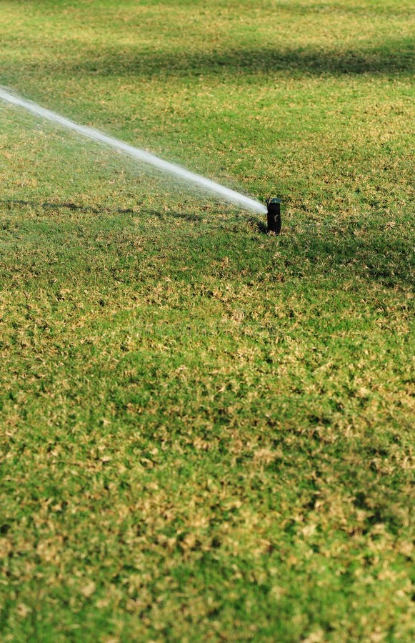 Watering stock photo. Image of faucet, plant, metal, sprinkling - 27858508