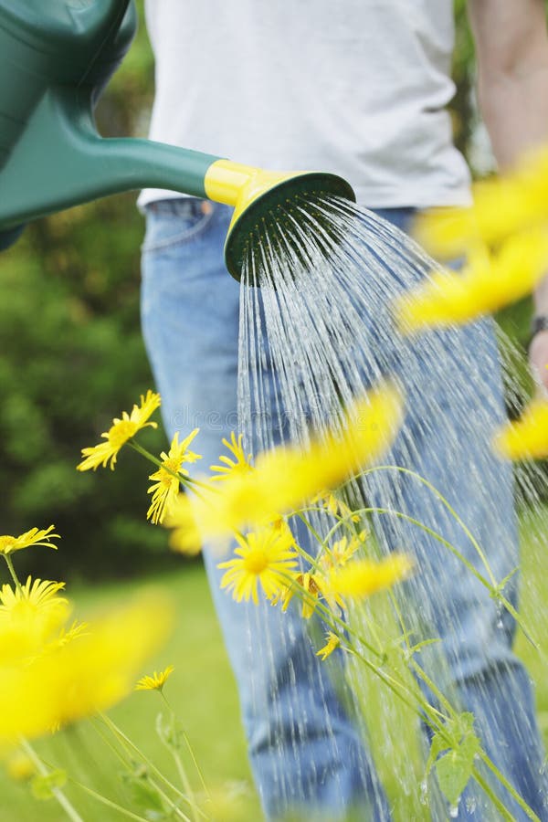 Watering stock image. Image of outdoors, watering, gardening - 9724557