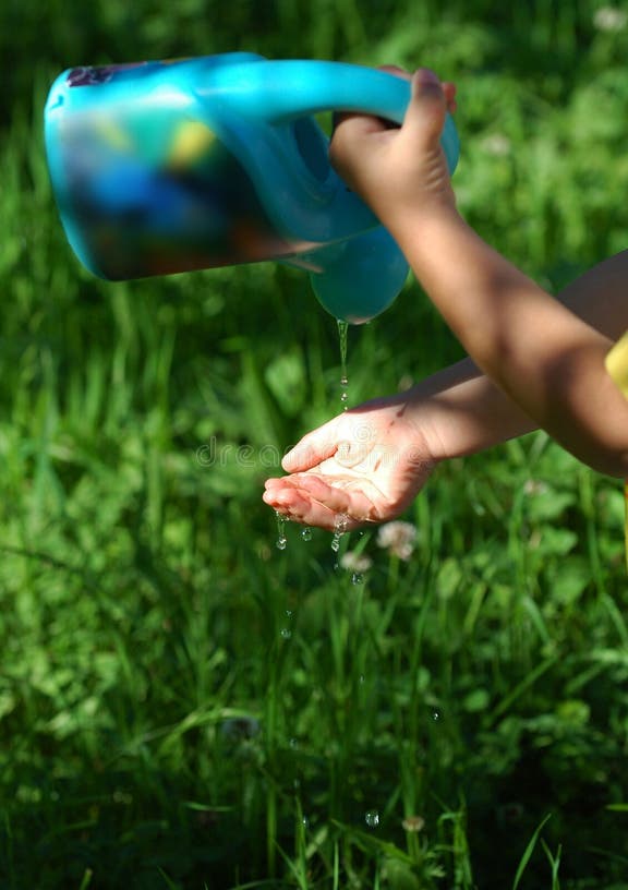 Watering can stock image. Image of blue, young, hold, flow - 1012955