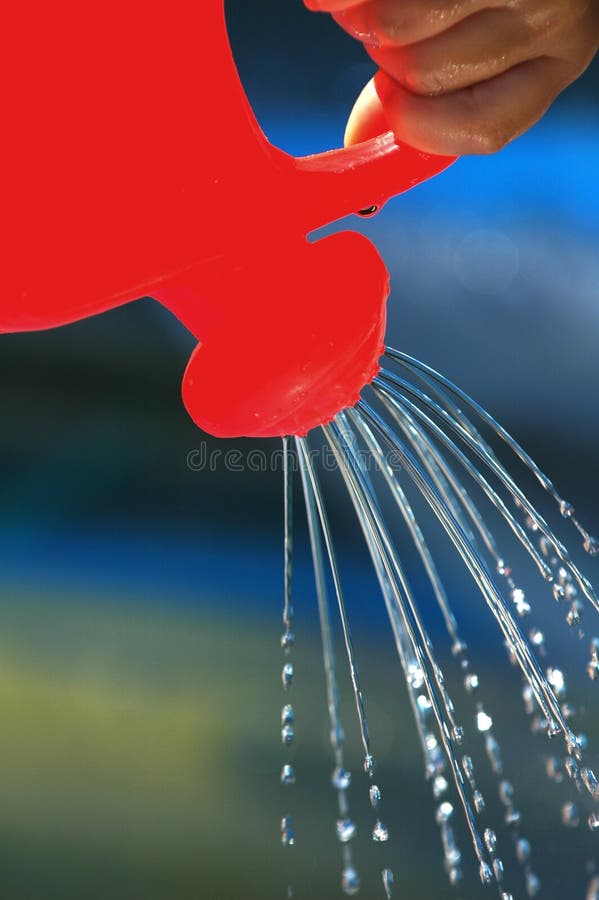 Watering can stock photo. Image of water, freshness, watering - 1013052