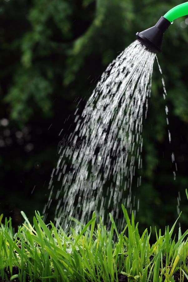 Watering can stock image. Image of irrigation, droplets - 14915791