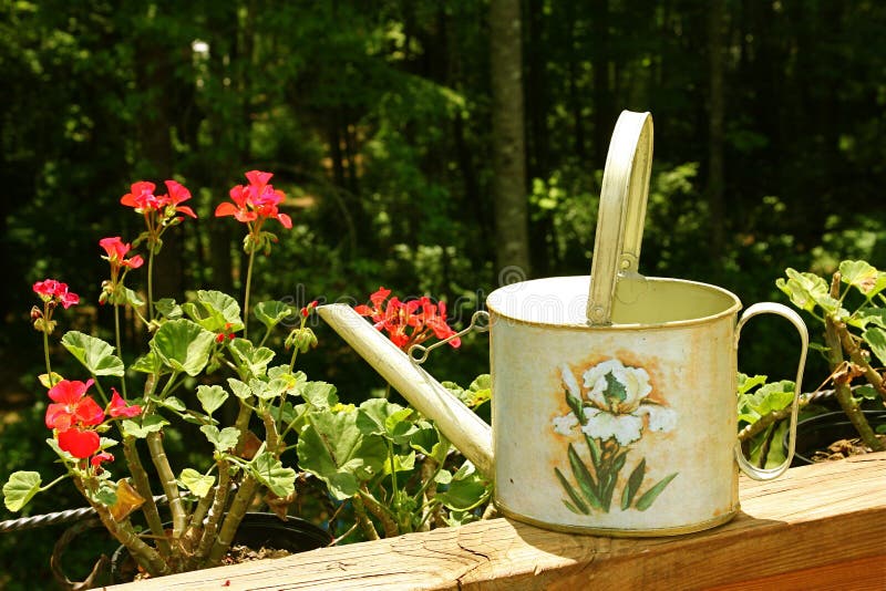 Watering can stock image. Image of flowers, water, gardening - 5831449