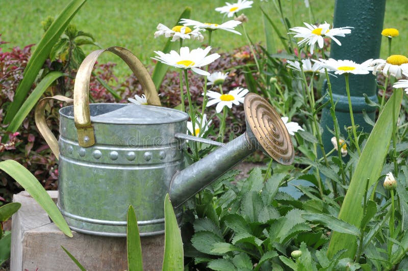Watering can stock image. Image of yard, garden, home - 7648833