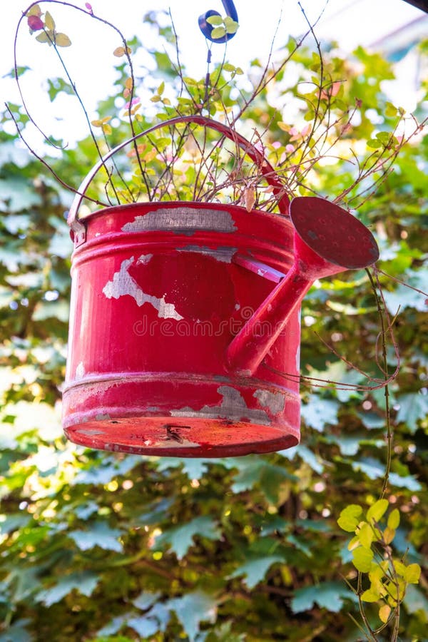 Watering can flower pot stock photo. Image of hanger - 258527432