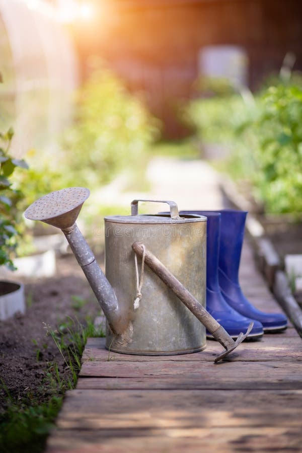 Watering Can, Rubber Boots and Ripper after Gardening Stock Photo ...