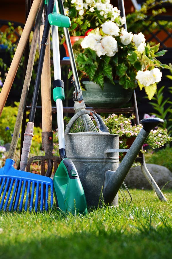 Watering Can and Tools in the Garden Stock Image - Image of garden ...