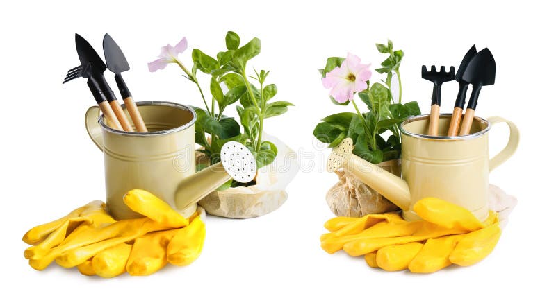 Watering Cans, Flowers and Different Gardening Tools on White ...