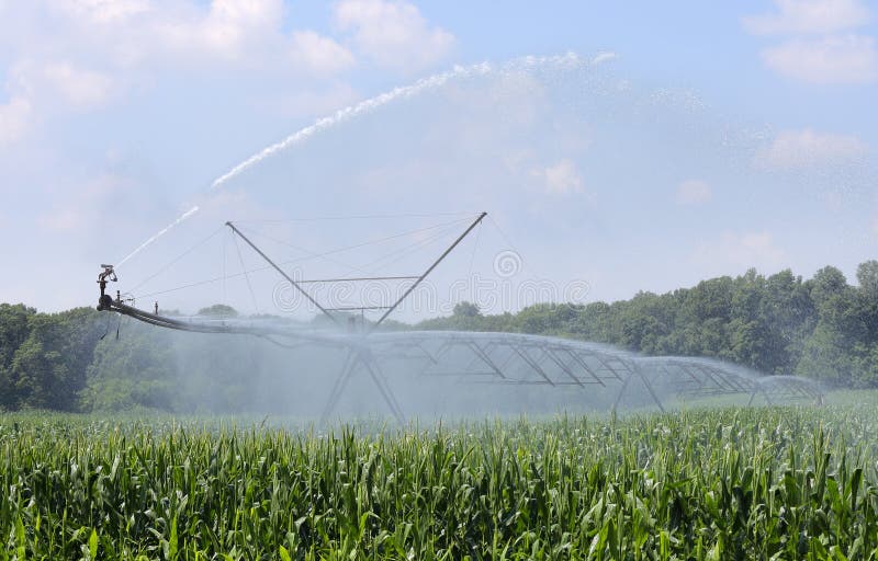 Watering Corn stock image. Image of farmland, irrigation - 32084887