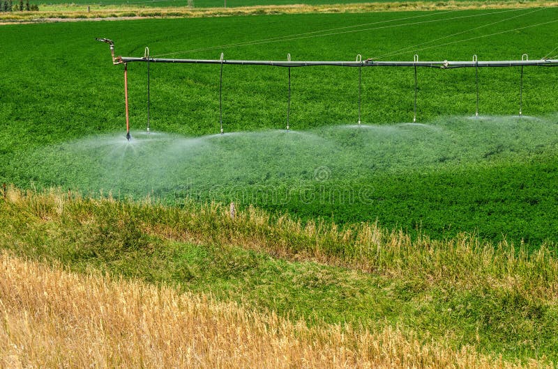 Watering a Crop stock image. Image of farming, system - 26505001