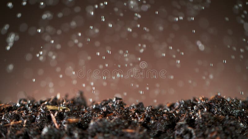 Watering Earth Substrate, Free Space for Text Stock Image - Image of ...