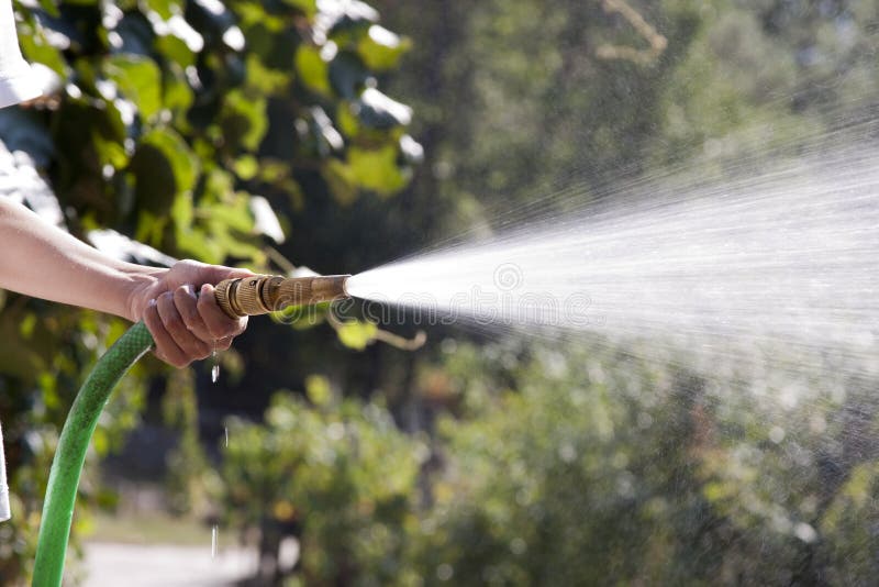 Watering the field stock photo. Image of farmer, agrarian - 209919892