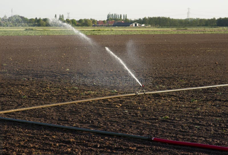 Watering the field stock photo. Image of farmer, agrarian - 209919892