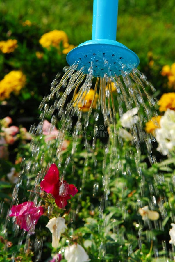 Watering flowers stock photo. Image of metal, freshness - 2963904