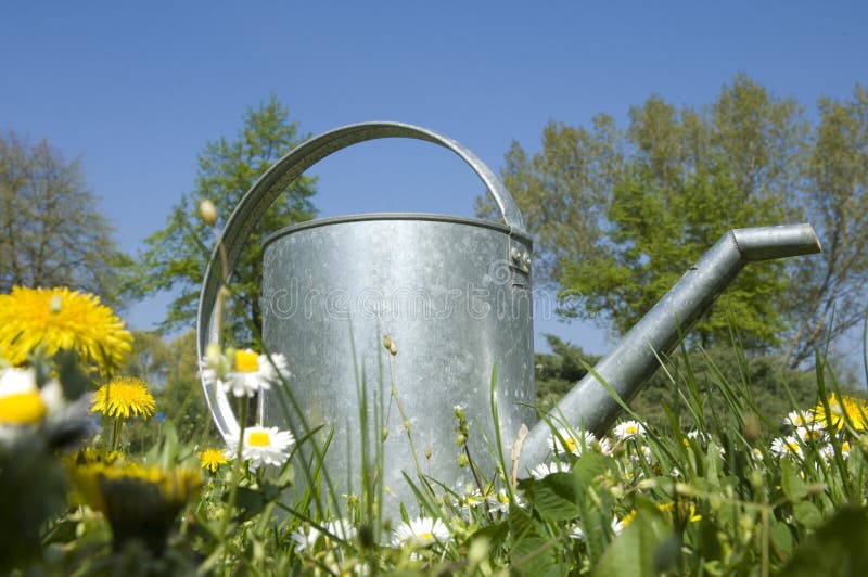Watering garden can stock image. Image of field, boom - 9057803