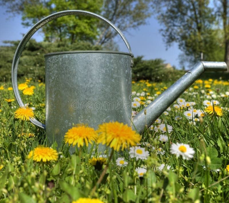 Watering Garden Can As Spring Symbol Stock Image - Image of outside ...