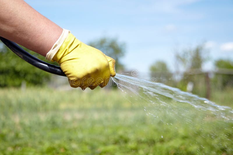 Watering Garden Hose, Water Splash and Gloved Hand Stock Photo - Image ...