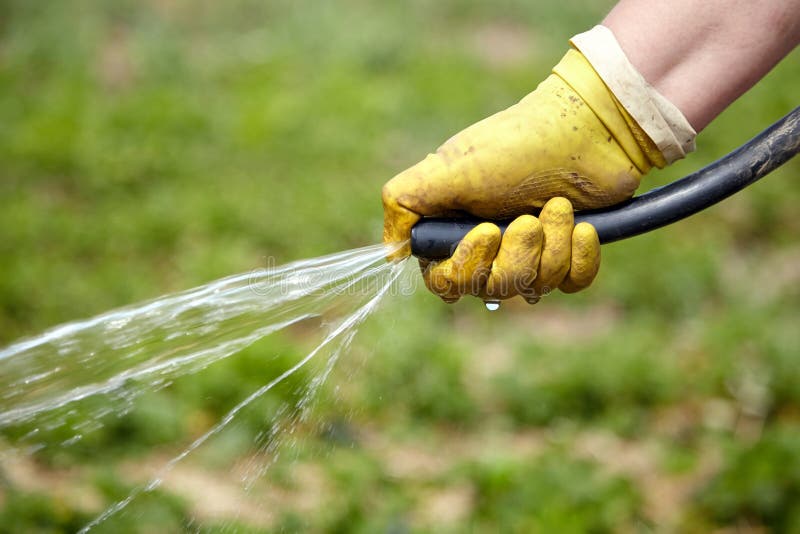 Watering Garden Hose, Water Splash and Gloved Hand Stock Image - Image ...