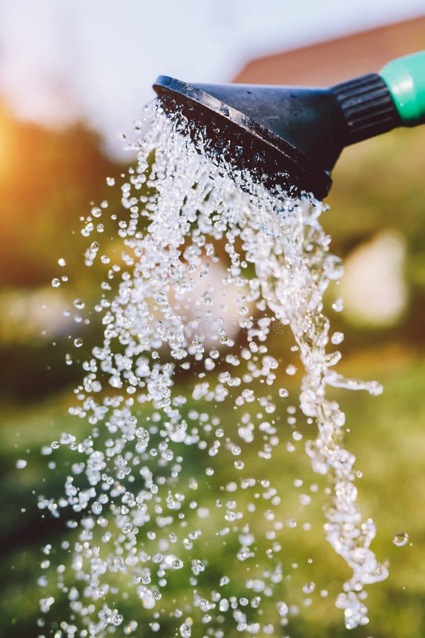 Watering Garden. Water Pouring from the Pot Stock Image - Image of ...