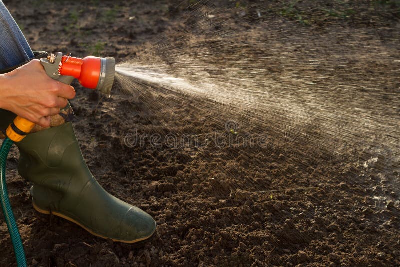 Watering the ground stock photo. Image of sprinkler, hose - 28779894