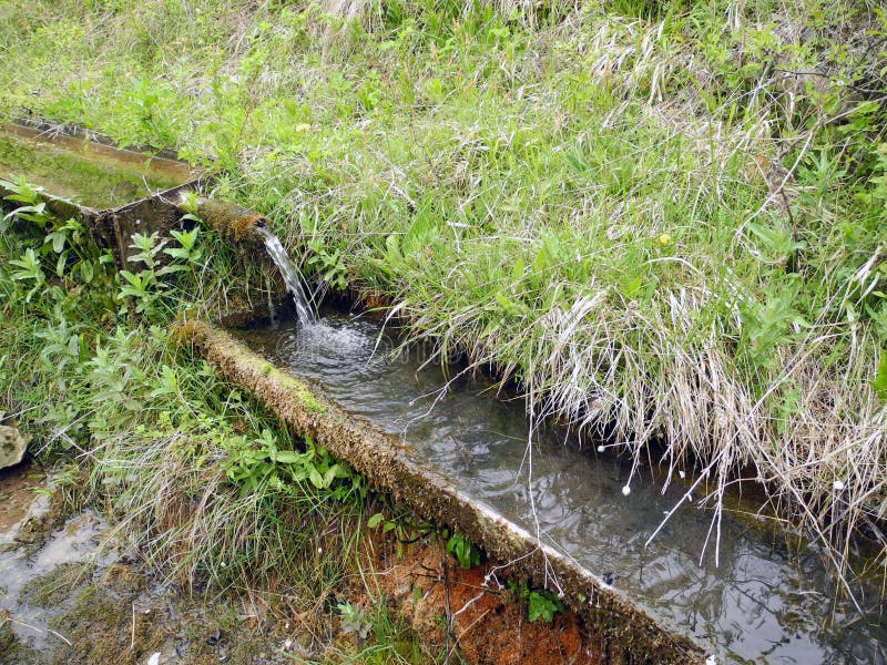 Watering for animals stock image. Image of sunny, grass - 121890391
