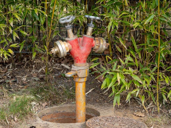 Watering Hydrants Park System Stock Photos - Free & Royalty-Free Stock ...