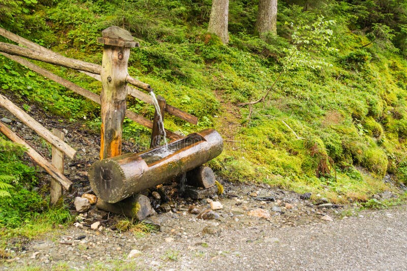 Watering Place on the Way Edge in a Mountain Forest. Stock Photo ...