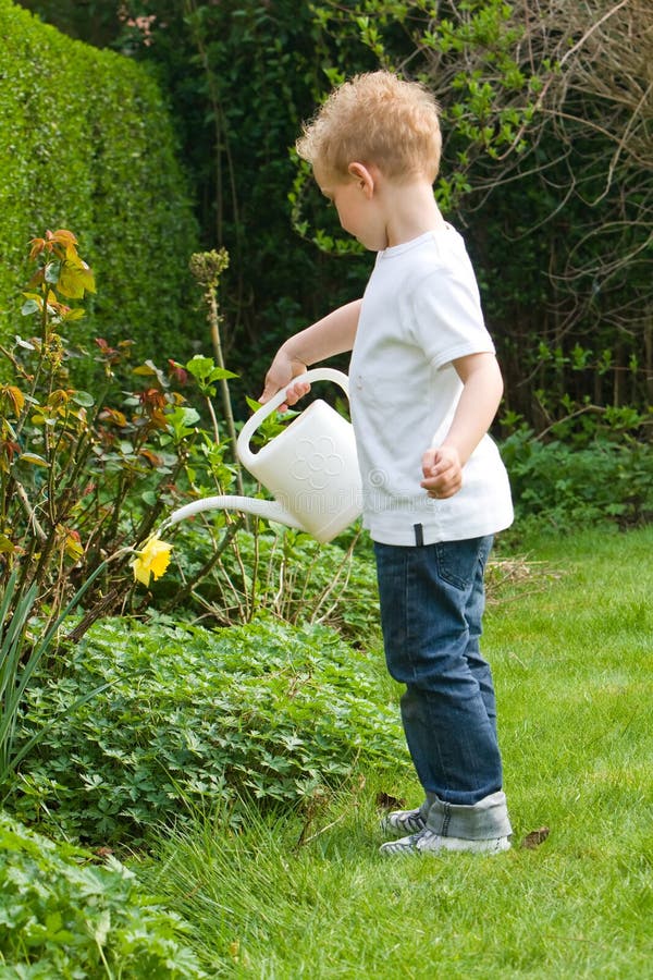Watering plants stock image. Image of park, garden, splash - 9063363