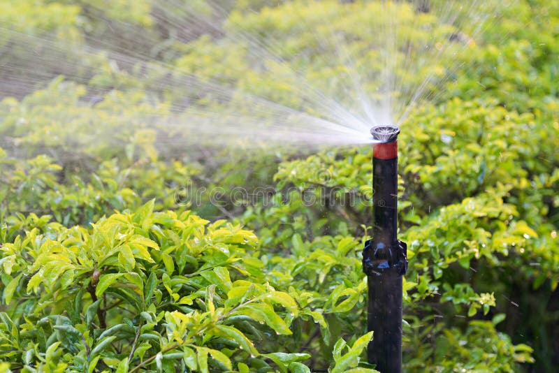 Watering the plants stock image. Image of sprinkler, yard - 68481481